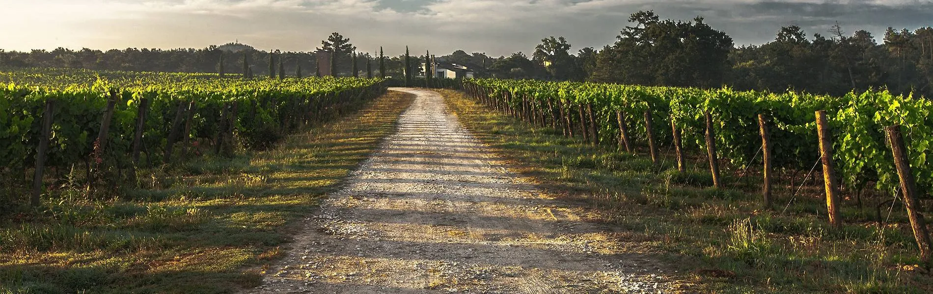 ISCOP – INDIAN SOCIETY FOR CERTIFICATION OF ORGANIC PRODUCTS